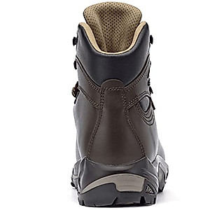 Asolo Men's TPS 520 GV EVO Long Distance, Backpacking, Trekking, Technical Terrian Hiking Boots (Chestnut, 11)