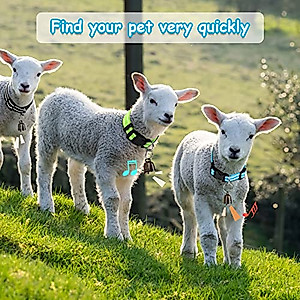 GINDOOR 5 Pack Reflective Goat Collars with Bells, Cow Horse Sheep Grazing Copper Bells and Adjustable Nylon Collar Set Pet Anti-Lost Loud Bronze Bell for Small Farm Animal Goat Sheep Cow Accessories