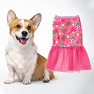 Pet Supplies Pet Dress Lace Design Printing Sweet Strawberry Rabbit Princess Dress Pet Supplies Pet Clothes
