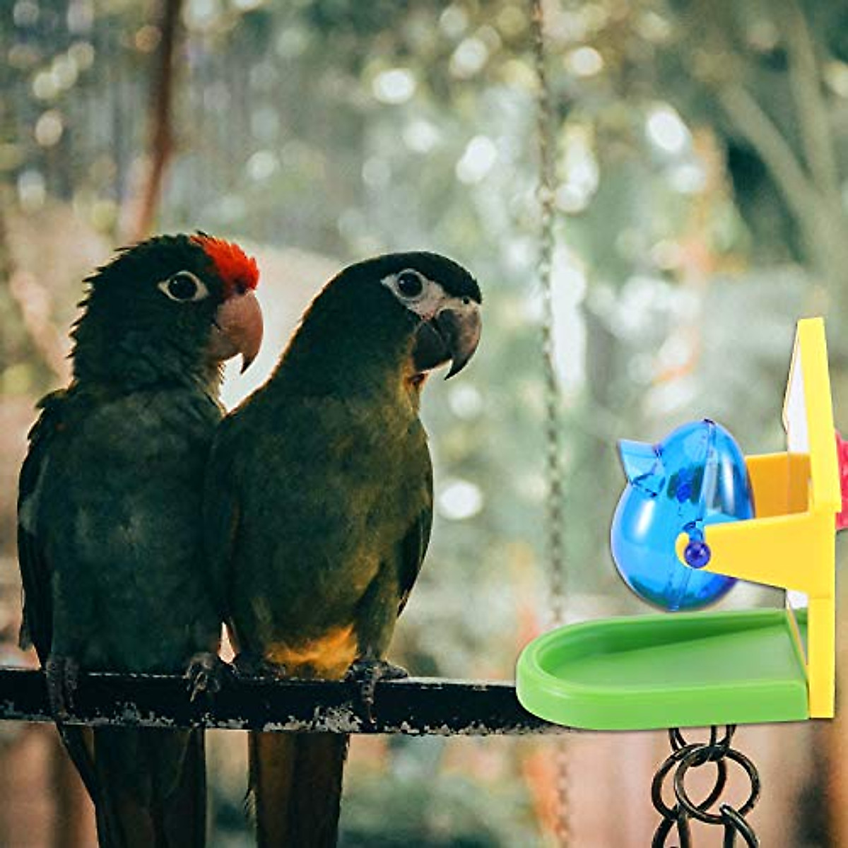 PATKAW Parrot Feeding Perch Bird Foraging Toy Parrot Foraging Toy Bird cage Feeder Parrot Training Toy Parrot Slow Feeder Birds Toys