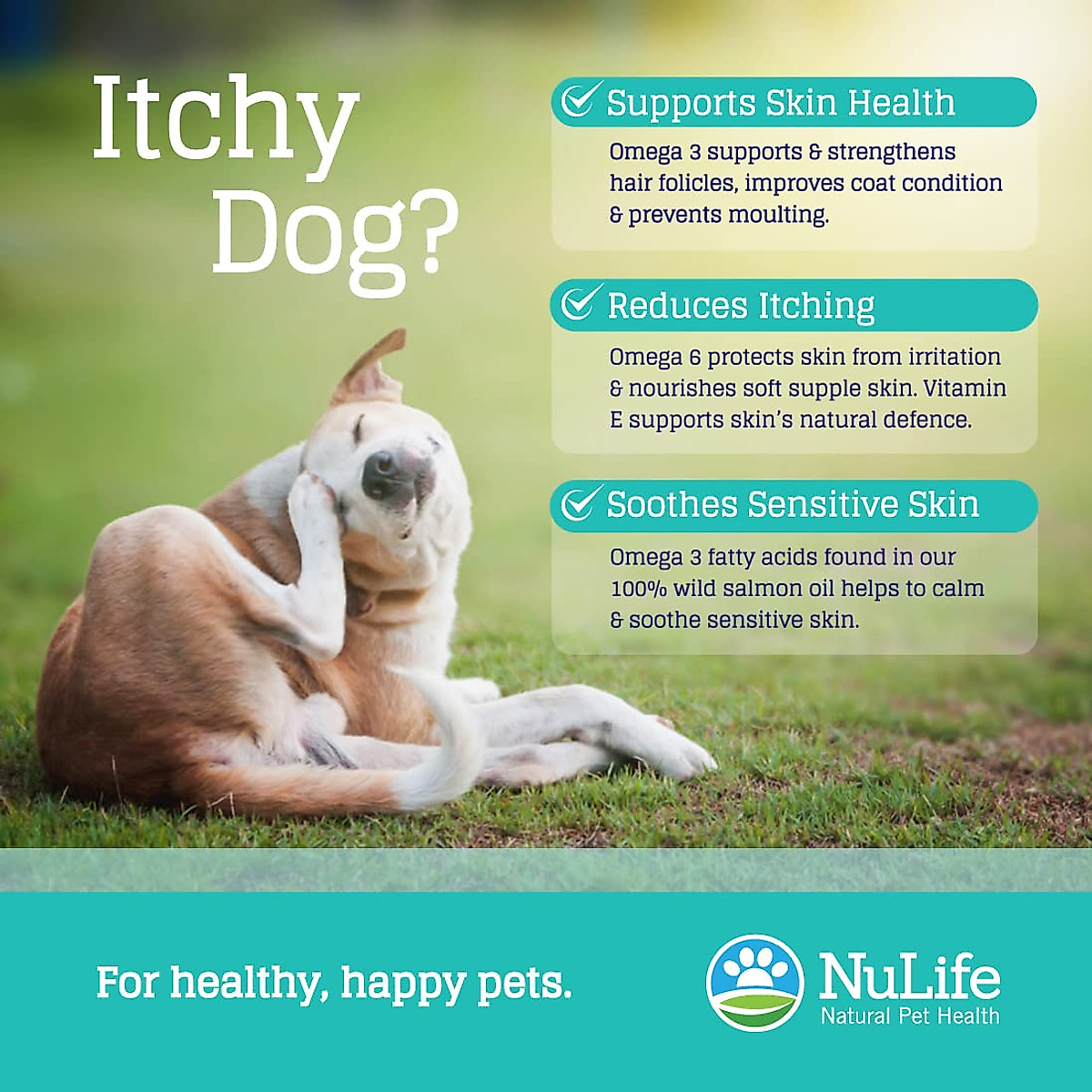 Omega Skin and Coat Chews for Dogs, Wild Salmon Dog Treats with Biotin & Vitamin E, Helps with Itchy Skin, Allergy Relief & Shedding, Omega 3 6 9, EPA & DHA Fatty Acids, Made in USA, 120 Chews