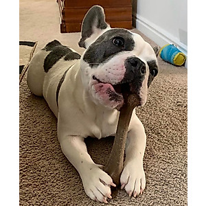 Ethical Pets SPOT 54319 Bambone Bone Bacon Pet Chew Toys