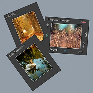 Golden State Art, Pack of 25, Acid-Free Black Pre-Cut 16x20 Picture Mat for 11x14 Photo with White Core Bevel Cut Frame Mattes