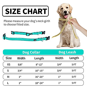 NESTROAD Reflective Dog Collar and Leash Set,Soft Neoprene Pet Collar with Quick Release Buckle,Adjustable Nylon Dog Collars for Small Medium Large Dogs(Medium Collar + 5FT Leash,Teal)