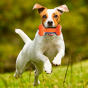 Nerf Dog 7in TPR EXO Squeak Bone - Blue/Orange