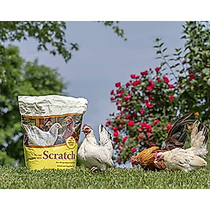 Manna Pro Ultimate Scratch Chicken Feed | Nutrient Rich Chicken Treat | 10 LB Chicken Scratch
