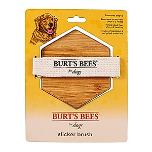 Burt's Bees for Pets Palm Slicker Brush, Recycled Bamboo Dog Brushes, Dog Brush, Dog Hair Brush, Burts Bees Pet Bush, Puppy Brush, Pet Hair Brush, Pet Comb, Dog Grooming Tools, Grooming Brush