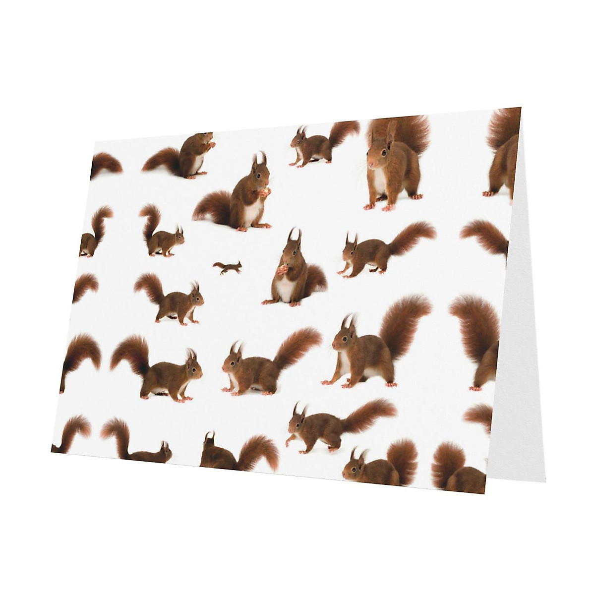 MQGMZ Cute Squirrels Print Holiday Greeting Cards Blank Note Cards With Envelopes For All Occasions Birthdays