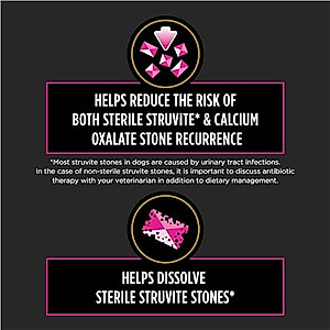 Purina Pro Plan Veterinary Diets UR Urinary Ox/St Canine Formula Wet Dog Food - (Pack of 12) 13.3 oz. Cans