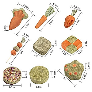 X-pet Rabbit Treats Guinea Pig Toys and Treats Bunny Chew Toys, Chinchilla Molar Toys, Timothy Hay Carrot Suitable for Guinea Pig, Hamster Chinchilla Rabbit Teeth Grinding and Chews