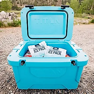 Arctic Zone High Performance Ice Pack for Lunch Boxes, Bags, or Coolers, Set of 2-250 grams each