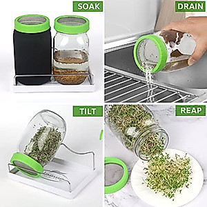 Seed Sprouting Jar Kit with Wide Mouth Mason Jars, Premium Stainless Steel Screen Sprout Lids, Blackout Sleeves, Tray and Sprouter Stand - Growing Broccoli, Alfalfa, Mung Beans and More