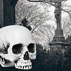 Gonioa Bag of Skeleton Bones and Skull for Best Halloween Decoration and Spooky Graveyard Scene, Outdoor Halloween Prop Creepy Haunted Decorations – 28 Pcs Set