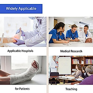 Veipho Foot Models, Foot Model Anatomy, Foot and Ankle Model Anatomy with Stand, Life Size Colored Foot Anatomy Model, Foot Skeleton Model for Study