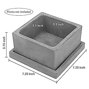MyGift Modern Gray Concrete Square Planter - Succulent Plant Pot with Bottom Drainage Hole and Removable Drip Tray Saucer