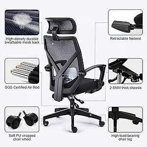 Dripex Ergonomic Office Chair Mesh Computer Desk Chairs with Lumbar Support/Adjustable Headrest/High Back/Wheels Arms, Swivel Rolling Chair for Home Office