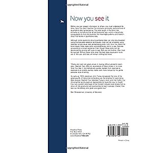 Now You See It: An Introduction to Visual Data Sensemaking