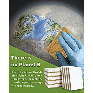 Biodegradable Natural Kitchen Sponge 12Pack, Compostable Cellulose and Coconut Walnut Scrubber Sponge