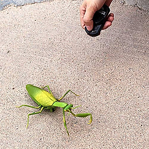 Tipmant RC Praying Mantis Toy IR Remote Control Animal Fake Car Vehicle Electric for Kids Birthday