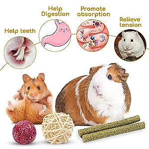 DAMPET Hamster Toys,12 Pack Guinea Pig Chew Toys and Accessories for Hamster Cage,Natural Wooden Guinea Pig Hideout and Timothy Stick Apple Wood for Hamster,Guinea Pig,Rats,Chinchilla,Gerbils,Mice