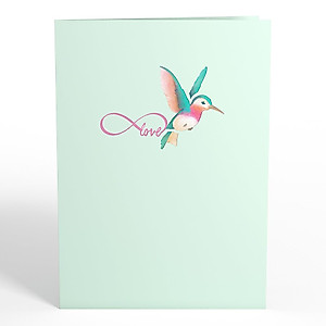 Lovepop Lovely Hummingbird Pop Up Card, 5x7 - 3D Greeting Card, Cards for Mom, Thinking of You, Love Card