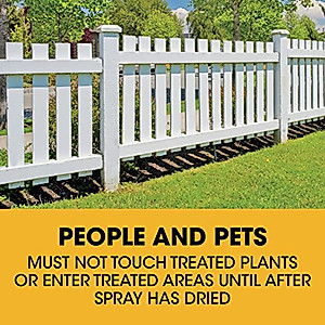 Roundup Concentrate Poison Ivy Killer Plus Tough Brush Killer for Weeds, Grass, Stumps with 24 hours Results, 32 oz.