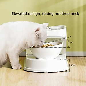 Pet Water Fountain, Multi-Functional Automatic cat Drinking, with LED Light Water Fountain Large Capacity Wireless Cat Water Fountain for Cat and Dog