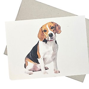 Groomers Margins Beagle Birthday Card (5X7 Inch, Blank Inside) for Miss You, Thinking of You, Dog Thank You Cards- 245