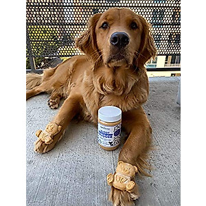 BUDDY BUDDER Bark Bistro Company, Superberry Snoot + Barkin Banana + Pumpkin Pup, 100% Natural Dog Peanut Butter, Healthy Dog Treats - Made in USA (Set of 3 / 17oz)