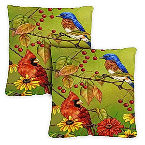 Toland Home Garden Birds N Berries 18 x 18 Inch Decorative Indoor Pillow Case Only (2-Pack)