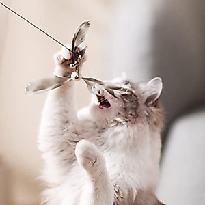 FUKUMARU Cat Wand Toy, 35.5 Inch Cat Feather Propeller Toy with Bell, Steel Wire Cat Toy for Indoor Cats with Natural Feather, Solid Wood Handle an Extra Cat Toy Feather Replacement