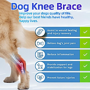 Dlevakve S Dog Knee Brace for Torn Acl Hind Leg for Support with Cruciate Ligament Injury, Better Recovery with Dog Leg Braces for Back Leg,Adjustable Dog Acl Brace Hind Leg Braces for Back Leg