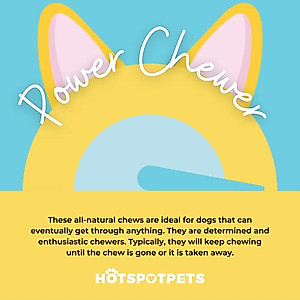 hotspot pets Premium Deer Antlers for Dogs - 7+ Inch Large Antler Dog Chews (2 Pack) Naturally Shed Antler Bone for Large Breed Aggressive Chewers - Made in USA - Promotes Dental Hygiene