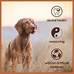 Wildfang® Chewing Root from The Tree Heather for Dogs, Robust and Durable Chewing Root for Dogs, Splinter-Free Chewing Wood as a Dog Toy for Optimal Dental Care for Dogs and Puppies (M)