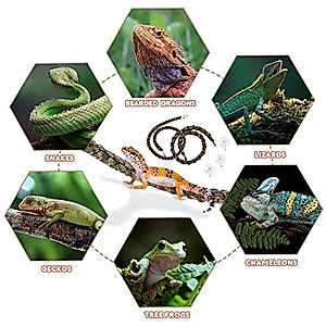 2 Pcs Reptile Vines, Bendable Reptile Plants Pet Habitat Decor with 3 Suction Cup Accessories for Climbing Chameleon Crab Lizards Snakes Gecko Frog Hermit Crab