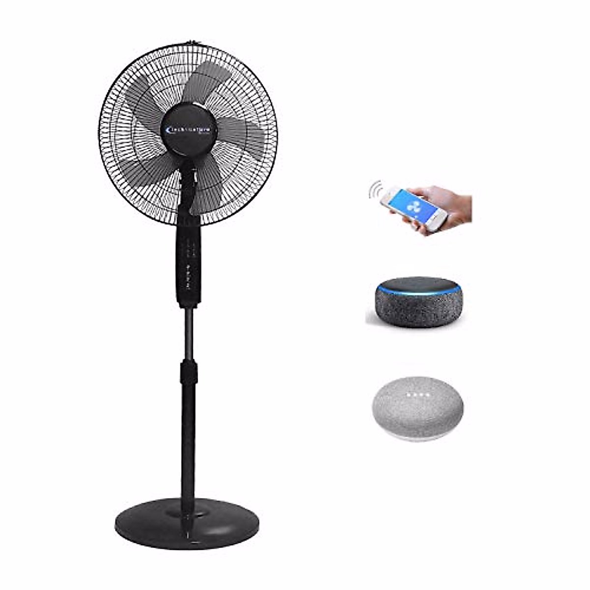 Technical Pro FXA16 WIFI Enabled 16 Inch Standing Fan With Oscillating Feature And Compatible With Amazon Alexa/Google Home Voice Control Smart Home 2.4G ONLY (Black)