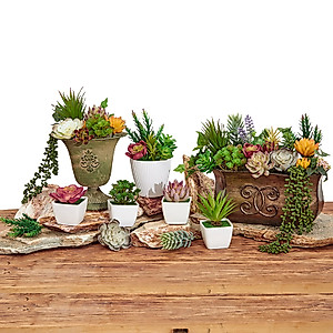 LA.PONEE 18pcs Premium Artificial Succulents Plants, Mini Fake Succulents Unpotted, Small Faux Succulent, Hanging Succulents for Home Garden Decor