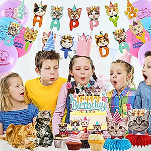 DECYOOL 39 Pcs Cat Birthday Decorations Cat Birthday Party Supplies, 2 Pcs Birthday Banner 3 Pcs Birthday Honeycombs 9pcs Birthday Balloons and 25 Pcs Cupcake Toppers for Kid cat lover