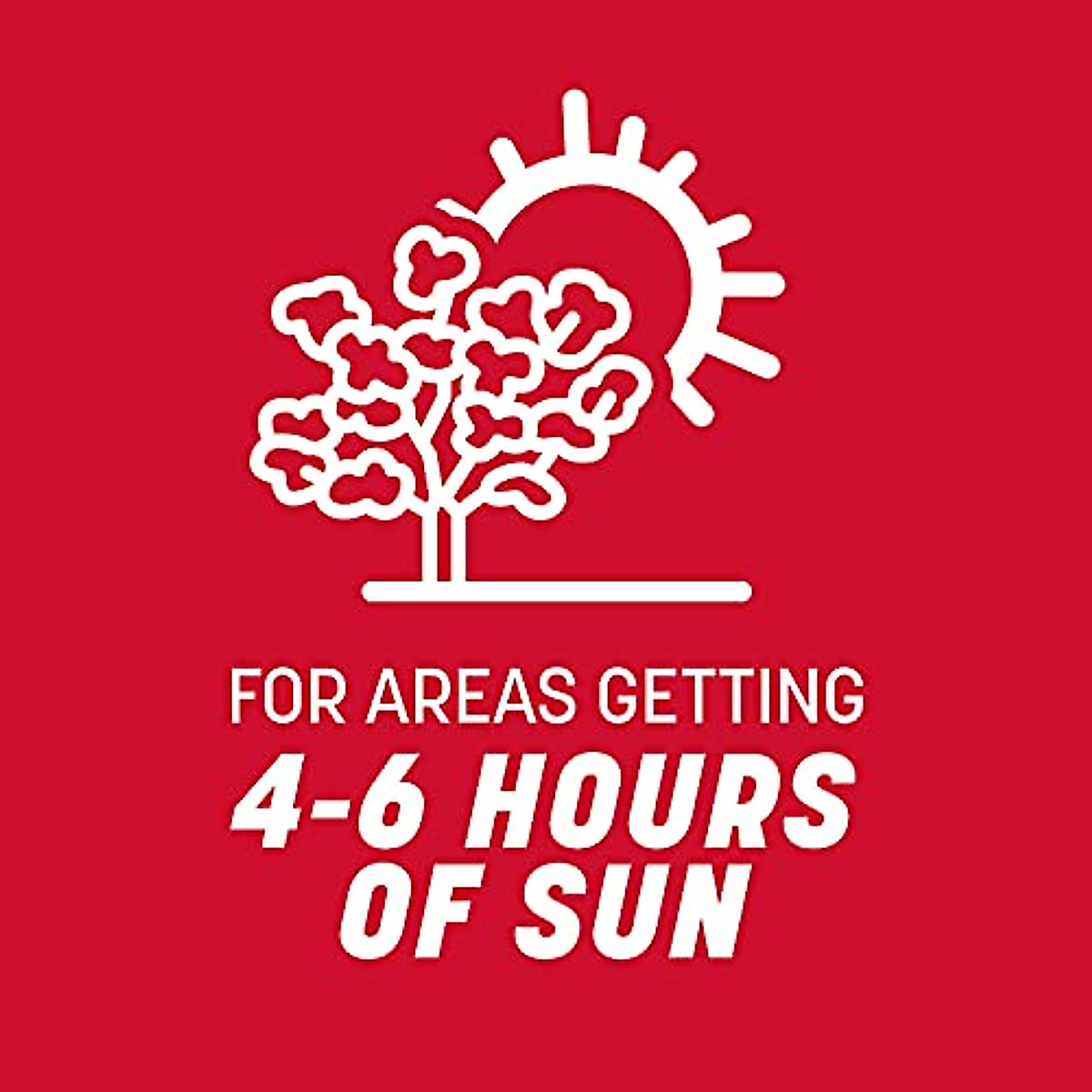 Pennington The Rebels Tall Fescue Grass Seed Blend, 3 Pounds