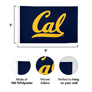 Desert Cactus University of California Berkeley UCB Flag - 3 x 5 Feet Golden Bears Banner, Indoor/Outdoor Durable Fabric, 100% Polyester Design (Style 2)