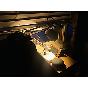 Miracle LED 9W Almost Free Energy LED Lovely Glow Bug Light - Yellow Spectrum E26 A19 Medium Outdoor Bug Bulb- Replaces 60W Old Painted Incandescent Bug Bulbs Amber Glow (2-Pack), (609010)