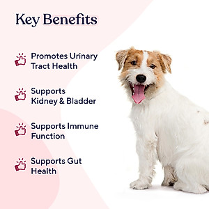 Pawfy Dog UTI Supplement | Cranberry & D-Mannose Help Support Dog Urinary Tract Health & Bladder Support | Ideal for Senior Dogs | Urinary Tract Infection Treatment | Dog Vitamins and Supplements