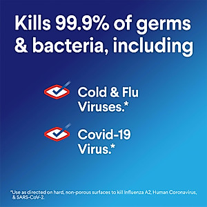 Clorox Disinfecting Wipes, Bleach Free Cleaning Wipes, Multi-surface Wipes with Moisture Seal Lid, Easy Pull Wipes Pack, Fresh Scent, 75 Wipes (Pack of 3) - Packaging May Vary