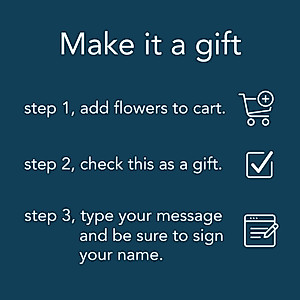 Benchmark Bouquets Charming Roses & Alstroemeria, Next Day Prime Delivery, Fresh Cut Flowers, Gift for Anniversary, Birthday, Congratulations, Get Well, Home Decor, Sympathy, Easter, Mother's Day