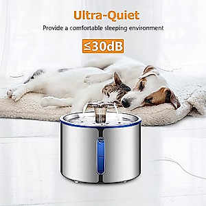 Cat Water Fountain, BOORCA 84oz/2.5L Stainless Steel Pet Water Fountain, Automatic Dog Water Dispenser with Water Level Window, Ultra-Quiet Pump and 2 Replacement Filters for Cats, Dogs, Multiple Pets