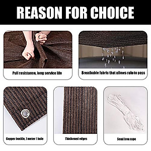 WUZMING Balcony Privacy Screen Anti-UV Outdoor Windshield Shade Net with Eyelets and Rope, 50 Sizes (Color : Brown, Size : 100x600cm)