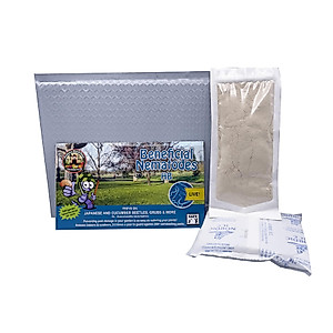 Beneficial Nematodes Heterohabditis bacteriophora HB -Ships from USA (50 Million)