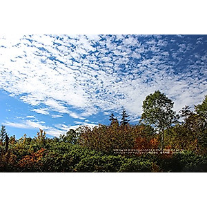 Canon DSLR Camera EOS Kiss X7i Triple Zoom kit EF-S10-18mm F4.5-5.6 is STM EF-S18-55mm F3.5-5.6 is STM EF-S55-250mm with F4-5.6 is STM KISSX7I-TZOOMKIT [International Version, No Warranty]