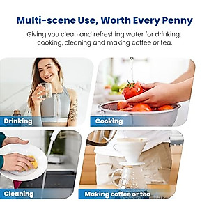 Waterspecialist NSF Certified Filter, Replacement for Pur® Water Filter Faucet, Pur® RF-9999®, Compatible with All Pur® Faucet Mount Filtration Systems (Pack of 3), Model No.: WS708A