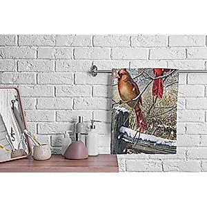 oFloral Hand Towels Cotton Washcloths Cardinal Bird Rest On The Branch Winter,Comfortable Super-Absorbent Soft Towels for Bath/Kitchen/Yoga/Golf/Hair/Face Towel for Men/Women/Girl/Boys 15X30 Inch